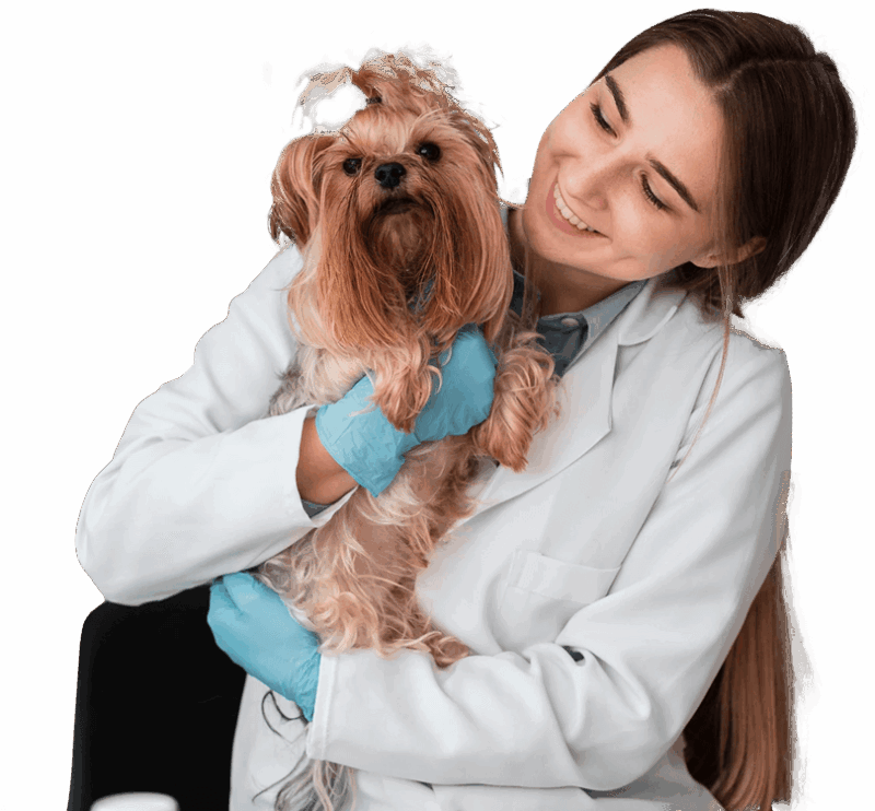 Thera-Clean® Microbubbles: The Best Pet Cleaning System
