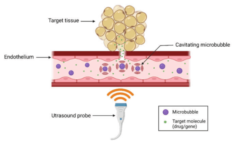 The Secret World of Micro Bubbles: Facts That Will Amaze You - Thera ...