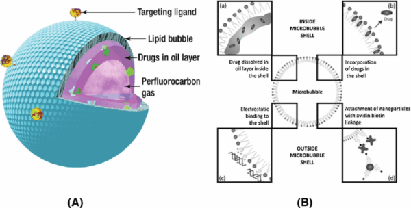 The Secret World of Micro Bubbles: Facts That Will Amaze You - Thera ...